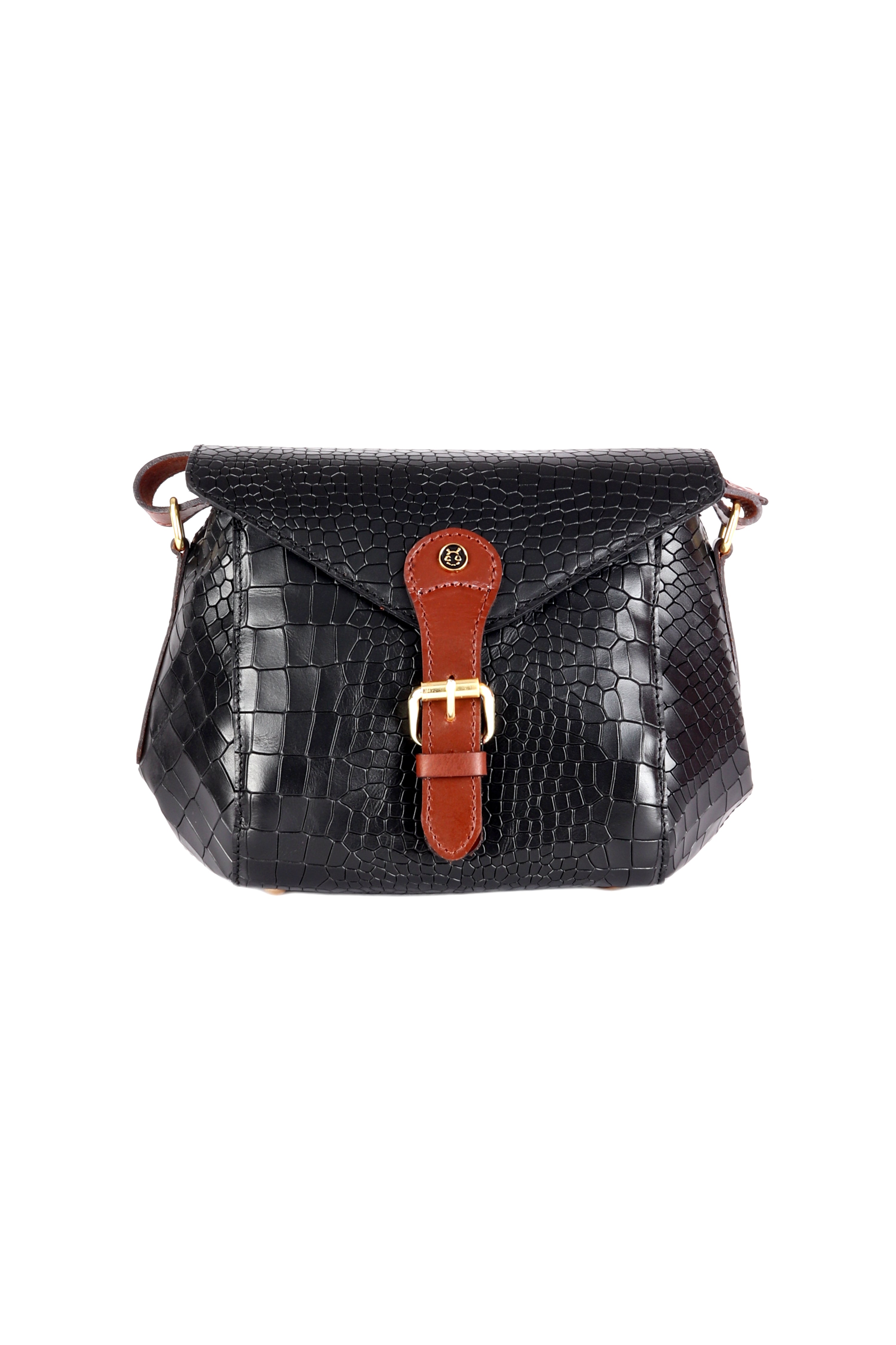 Collections – Chiti
